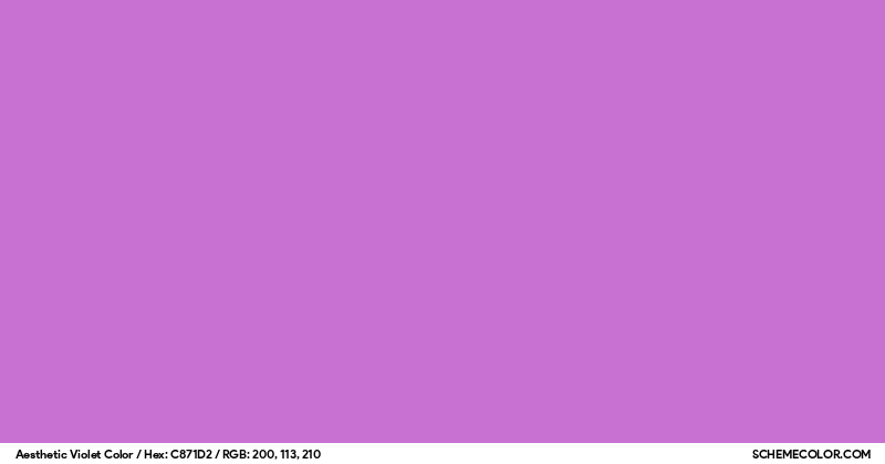 Aesthetic Violet Color - Colors - SchemeColor.com