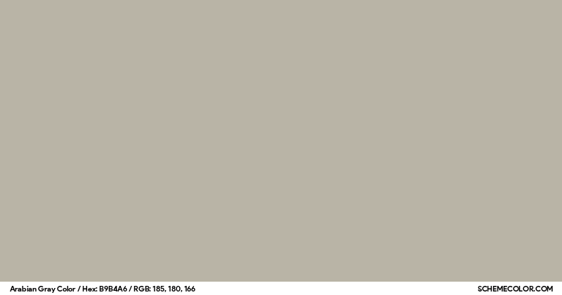 Arabian Gray Color - Colors - SchemeColor.com