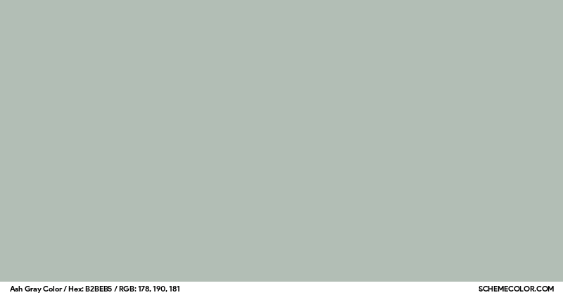 Ash Gray Color - Colors - SchemeColor.com