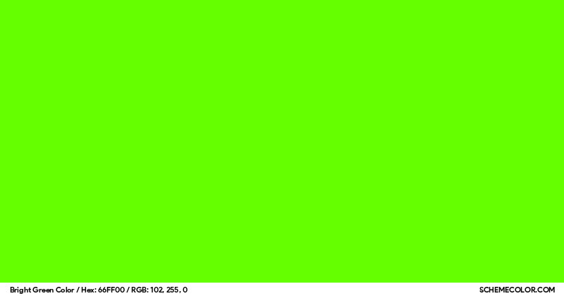Bright Green Color - Colors - SchemeColor.com