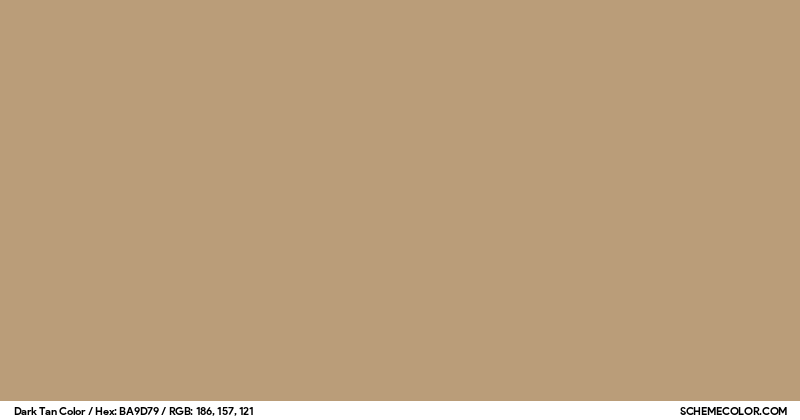Dark Tan Color - Colors - SchemeColor.com