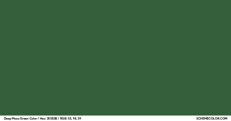 Deep Moss Green Color - Colors - SchemeColor.com
