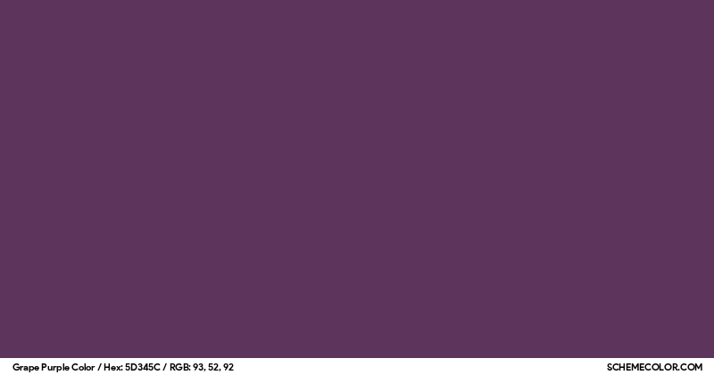 Grape Purple Color - Colors - SchemeColor.com