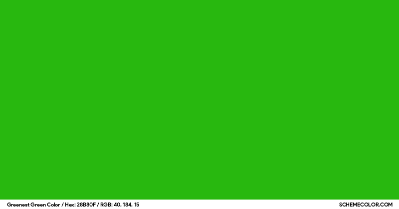 Greenest Green Color - Colors - SchemeColor.com