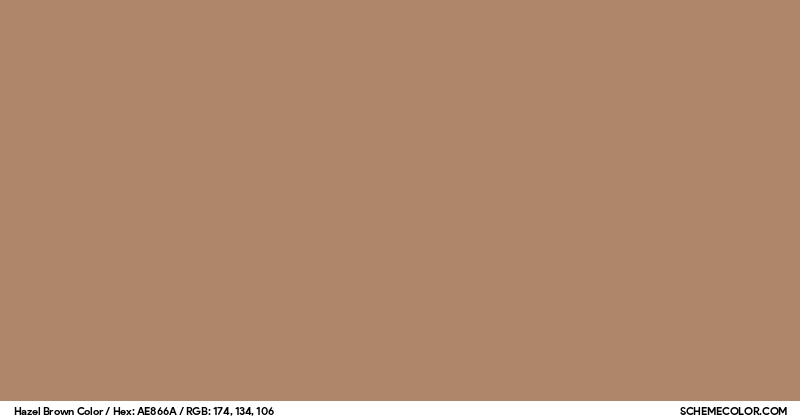 Hazel Brown Color - Colors - SchemeColor.com