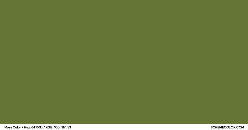 Moss Color - Colors - SchemeColor.com