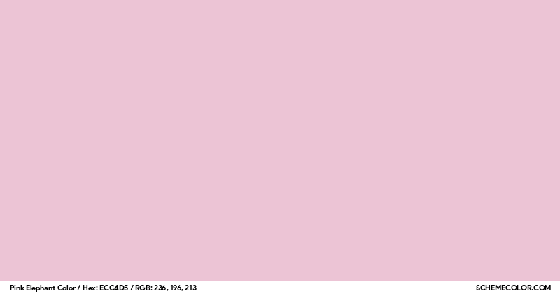 Pink Elephant Color - Colors - SchemeColor.com