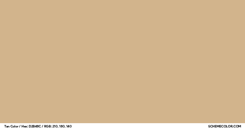 Tan Color - Colors - SchemeColor.com