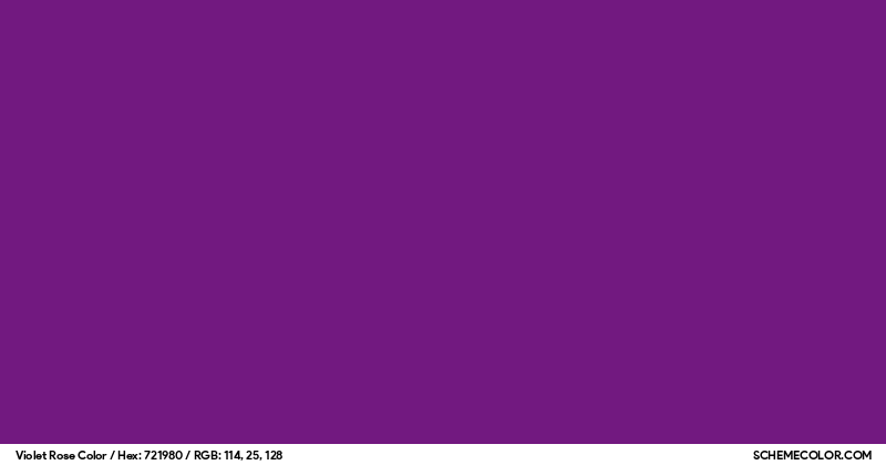 Violet Rose Color - Colors - SchemeColor.com
