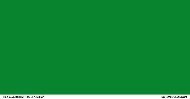 #07852F Hex Color Code - SchemeColor.com