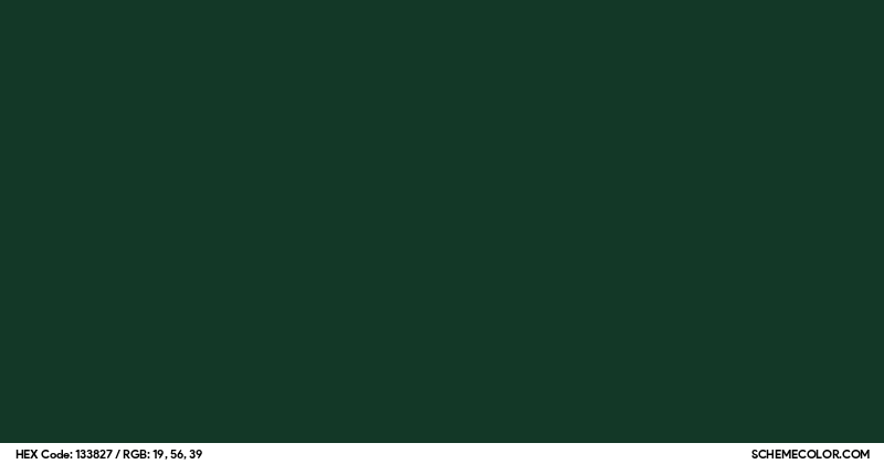 #133827 Hex Color Code - SchemeColor.com