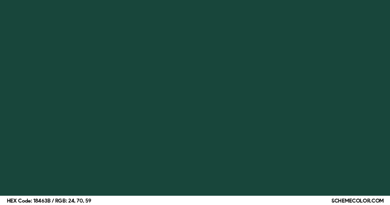#18463B Hex Color Code - SchemeColor.com