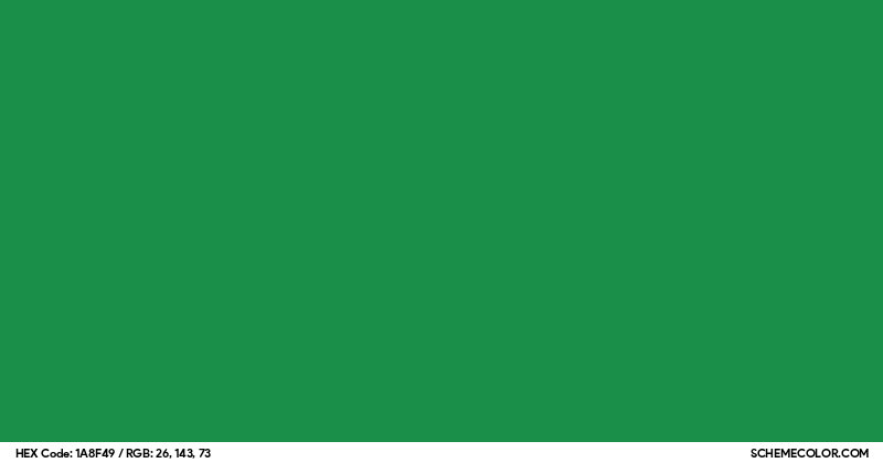 #1A8F49 Hex Color Code - SchemeColor.com