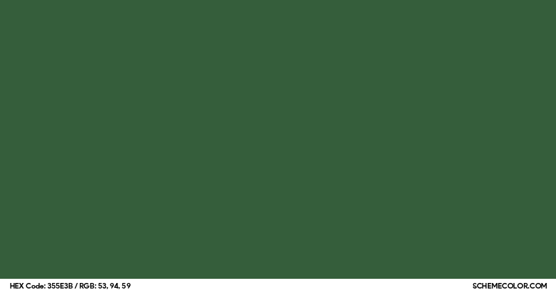 #355E3B Hex Color Code - SchemeColor.com