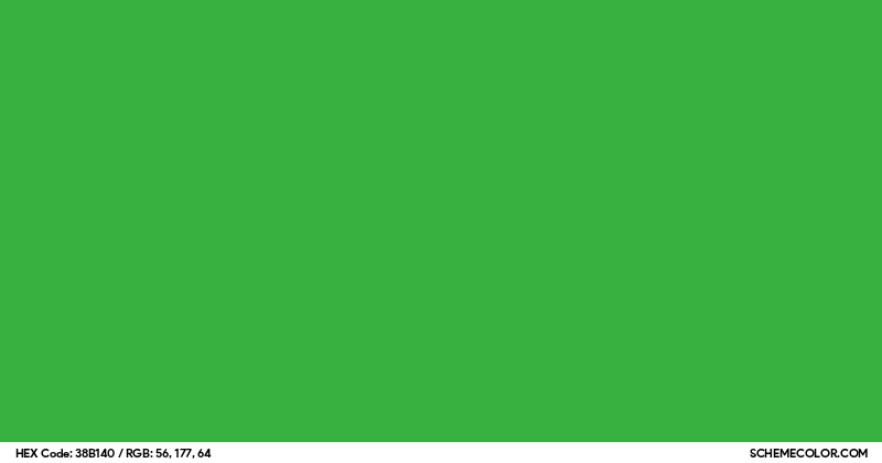 #38B140 Hex Color Code - SchemeColor.com