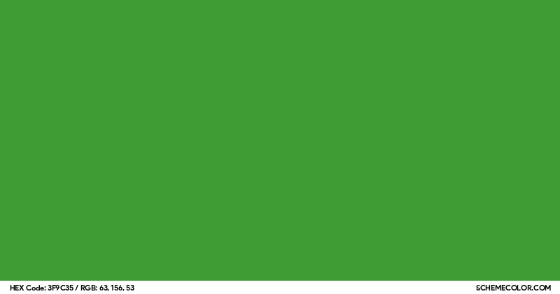#3F9C35 Hex Color Code - SchemeColor.com