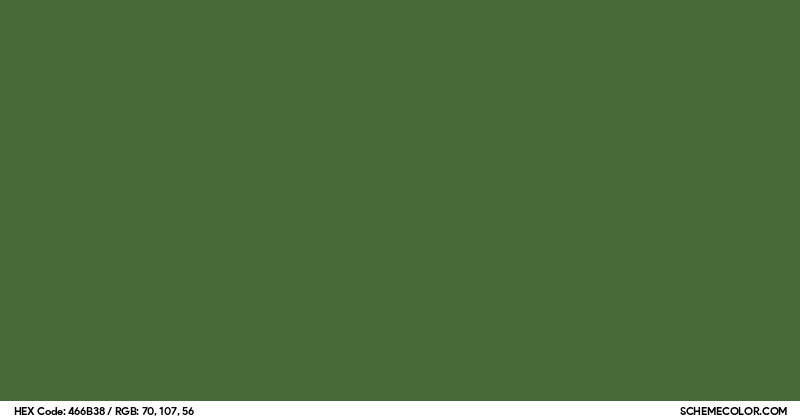 #466B38 Hex Color Code - SchemeColor.com