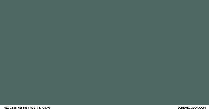 #4E6863 Hex Color Code - SchemeColor.com