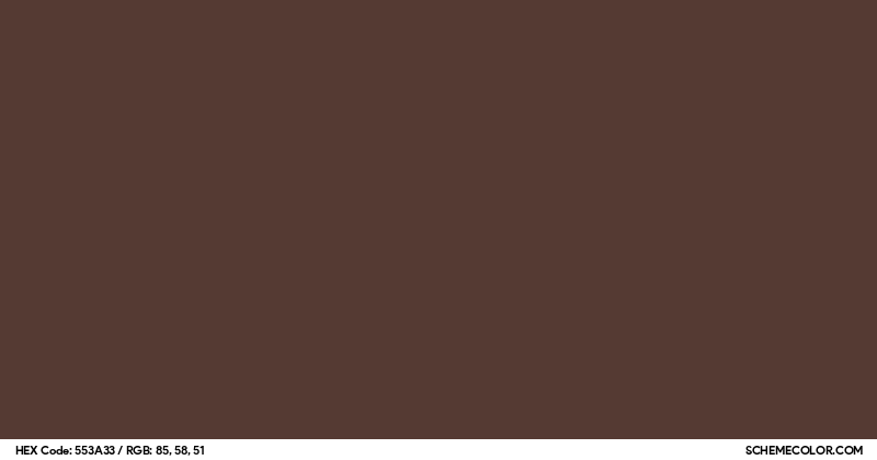 #553A33 Hex Color Code - SchemeColor.com