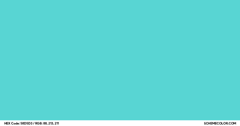 #58D5D3 Hex Color Code - SchemeColor.com