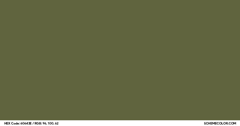#60643E Hex Color Code - SchemeColor.com