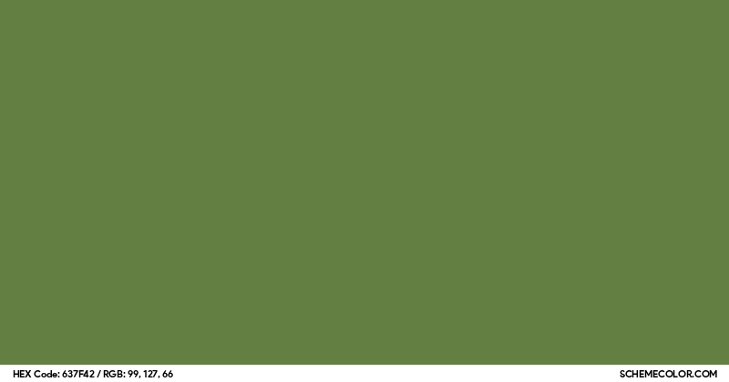 #637F42 Hex Color Code - SchemeColor.com