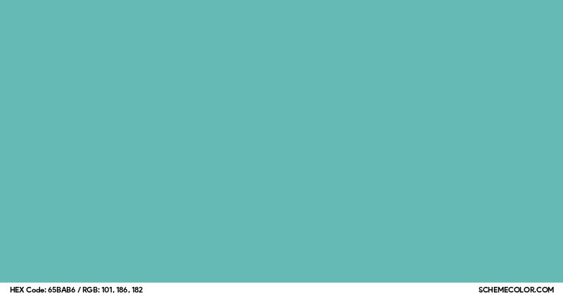 #65BAB6 Hex Color Code - SchemeColor.com