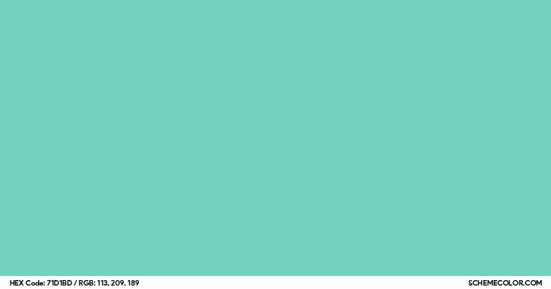 #71D1BD Hex Color Code - SchemeColor.com
