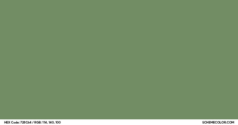 #728C64 Hex Color Code - SchemeColor.com