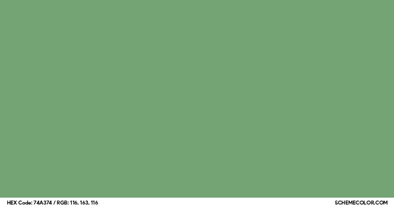 #74A374 Hex Color Code - SchemeColor.com