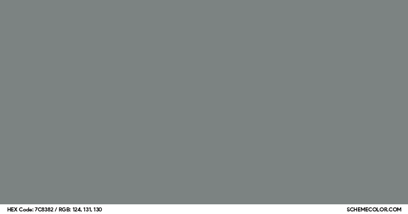 #7C8382 Hex Color Code - SchemeColor.com