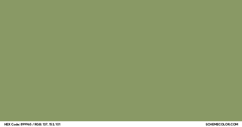 #899965 Hex Color Code - SchemeColor.com