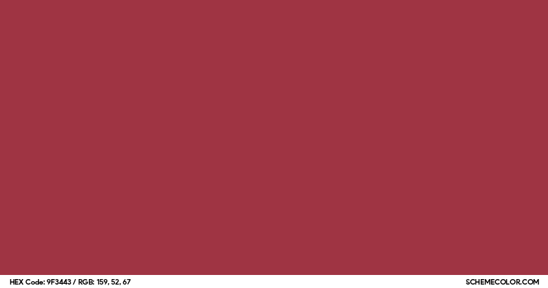 #9F3443 Hex Color Code - SchemeColor.com