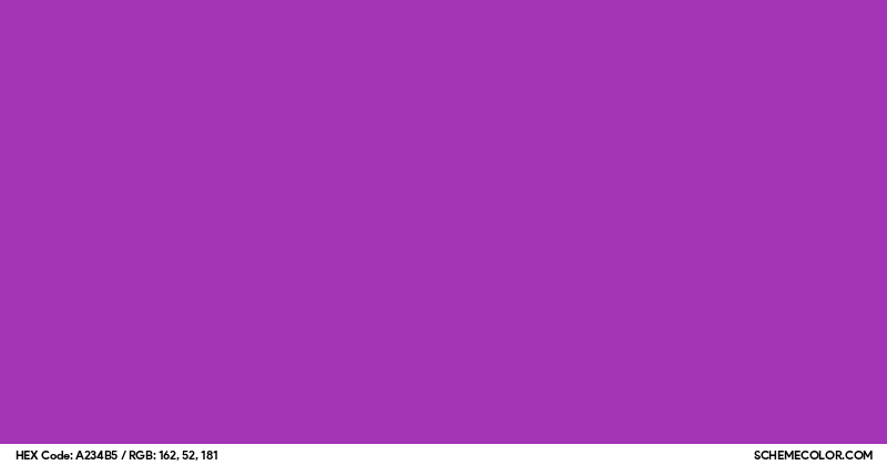 #A234B5 Hex Color Code - SchemeColor.com