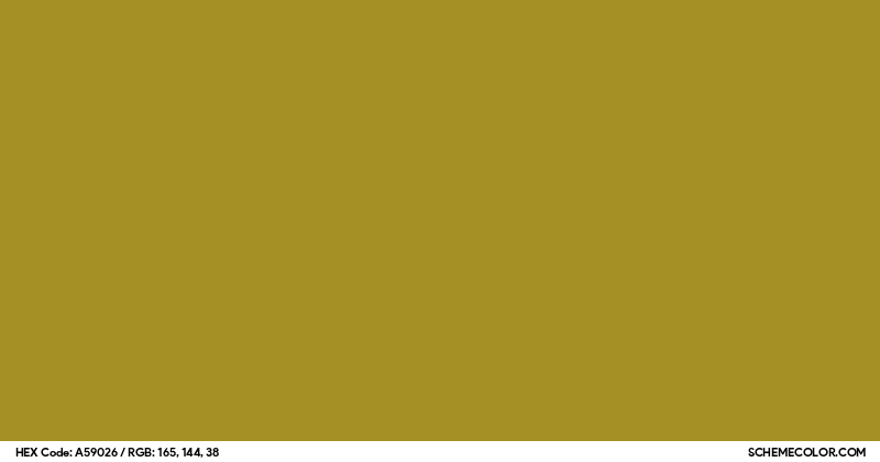 #A59026 Hex Color Code - SchemeColor.com