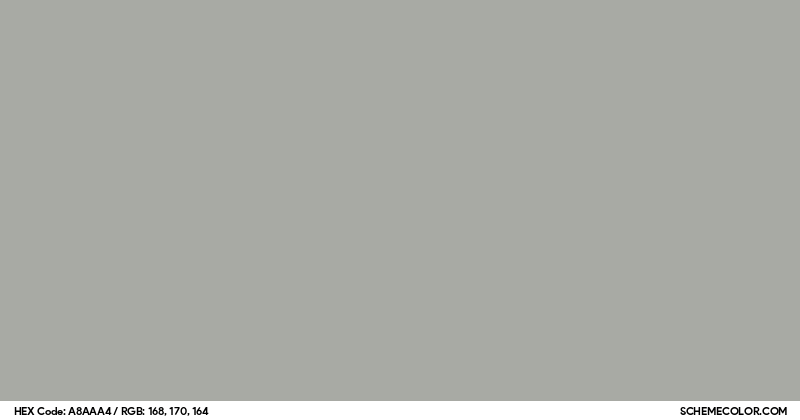 #A8AAA4 Hex Color Code - SchemeColor.com
