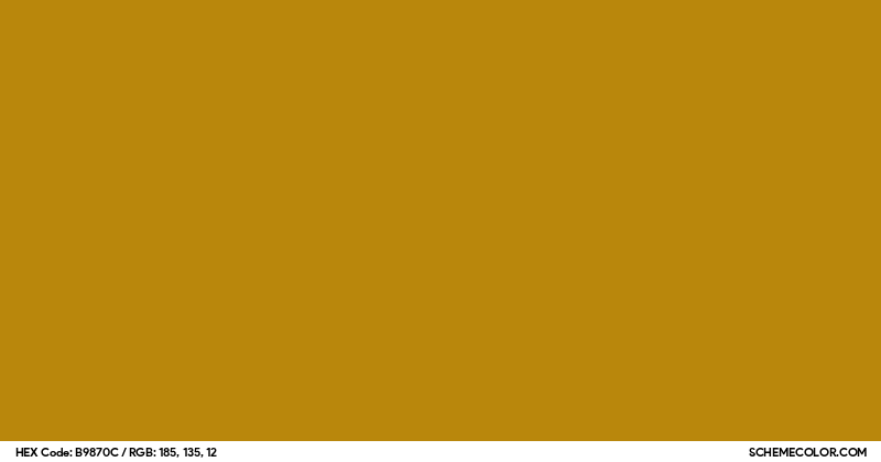 #B9870C Hex Color Code - SchemeColor.com