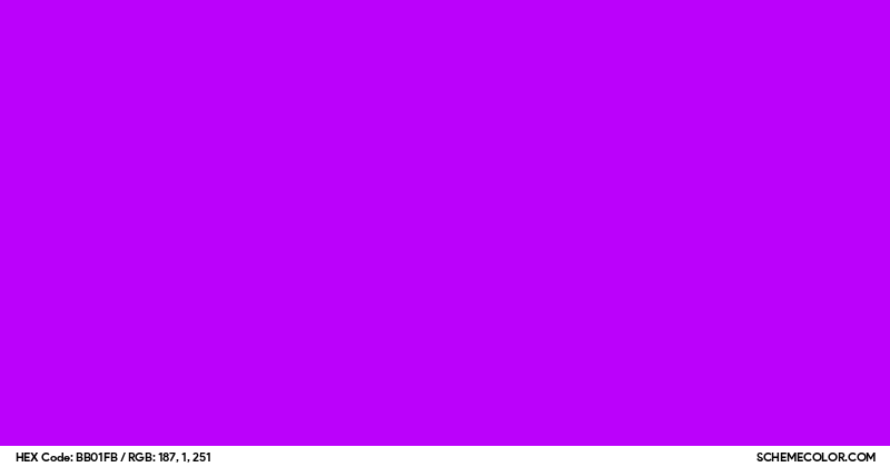 #BB01FB Hex Color Code - SchemeColor.com
