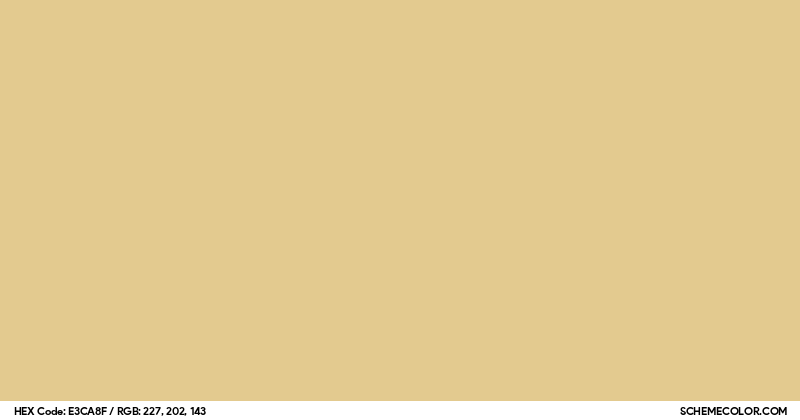 #E3CA8F Hex Color Code - SchemeColor.com