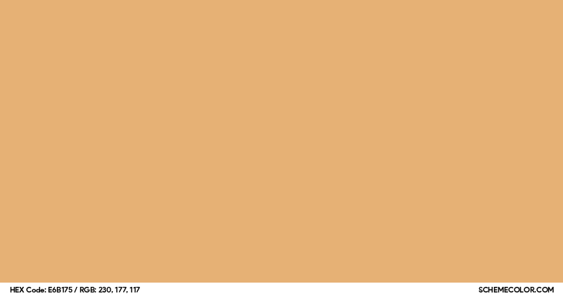 #E6B175 Hex Color Code - SchemeColor.com
