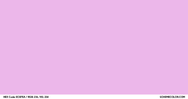 #ECB7EA Hex Color Code - SchemeColor.com