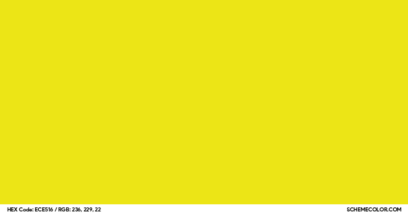 #ECE516 Hex Color Code - SchemeColor.com