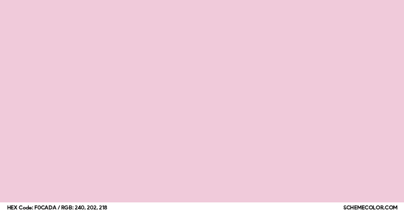 #F0CADA Hex Color Code - SchemeColor.com