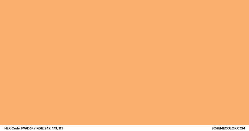 #F9AD6F Hex Color Code - SchemeColor.com