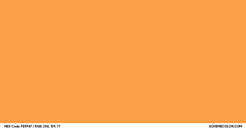 #FE9F47 Hex Color Code - SchemeColor.com