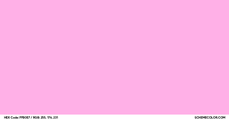 #FFB0E7 Hex Color Code - SchemeColor.com