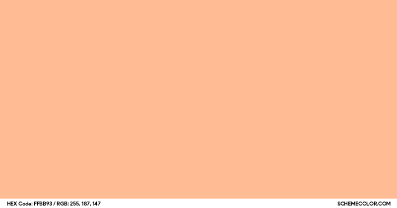 #FFBB93 Hex Color Code - SchemeColor.com