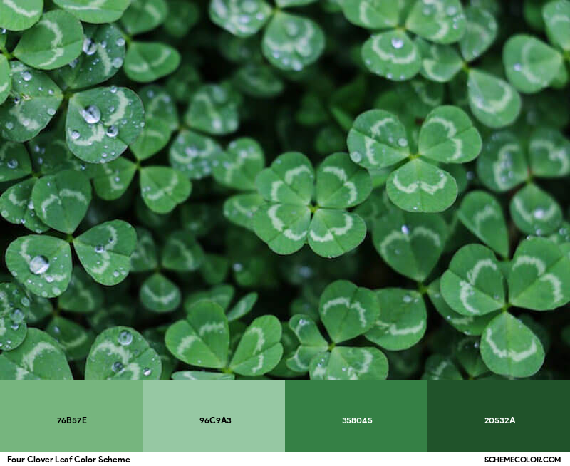 Four Clover Leaf Color Scheme - Image Color Palettes - SchemeColor.com