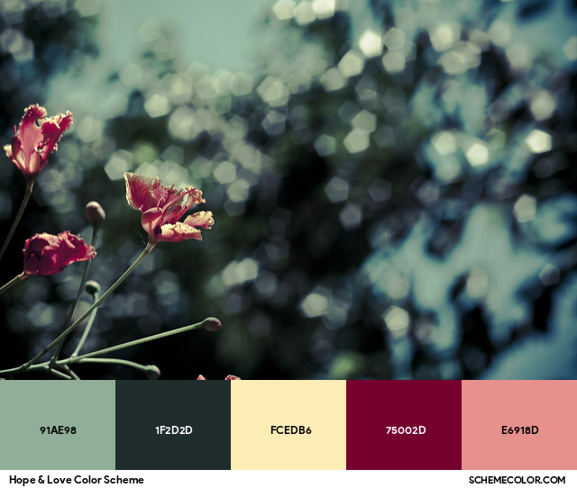 Hope & Love Color Scheme - Image Color Palettes - SchemeColor.com