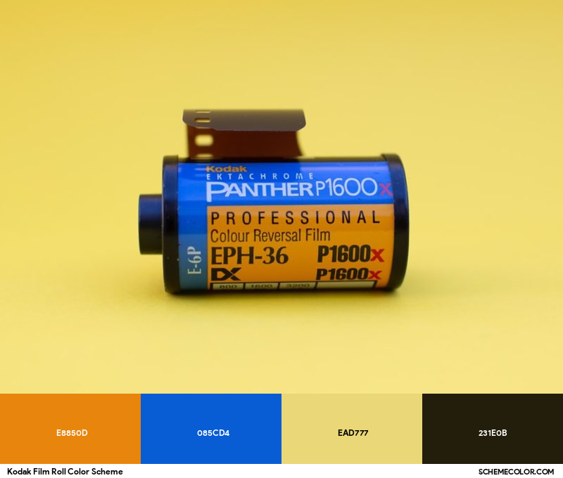 Kodak Film Roll Color Scheme - Image Color Palettes - SchemeColor.com